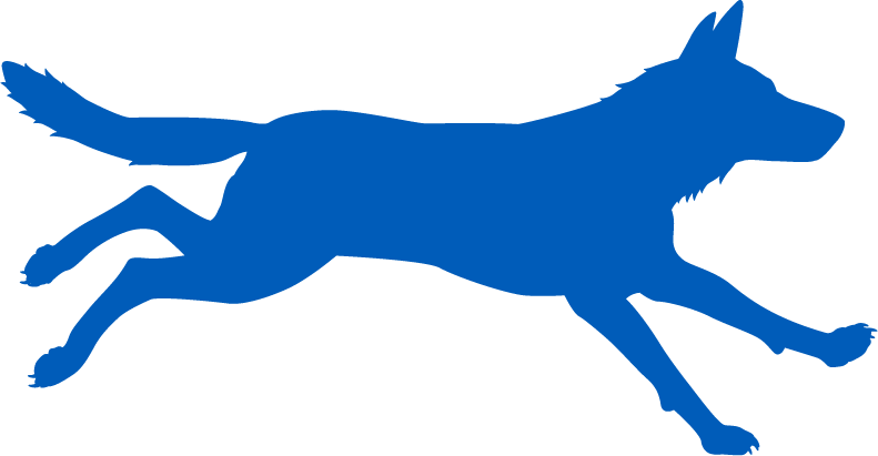 Elementary Program – Wolfpack Youth Running Club