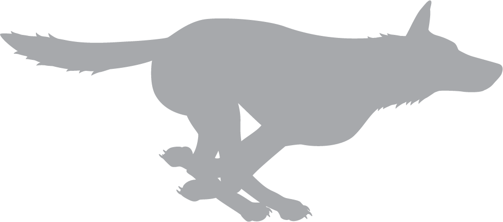 Elementary Program – Wolfpack Youth Running Club